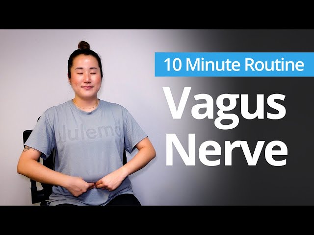 Vagus Nerve Activation | 10 Minute Daily Routines - YouTube Learning